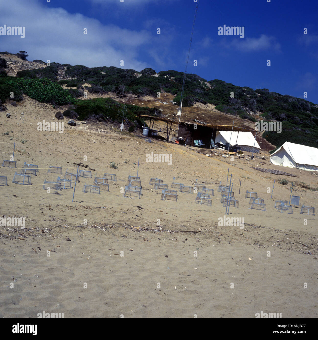 Turtle Breeding Station Stock Photo - Alamy