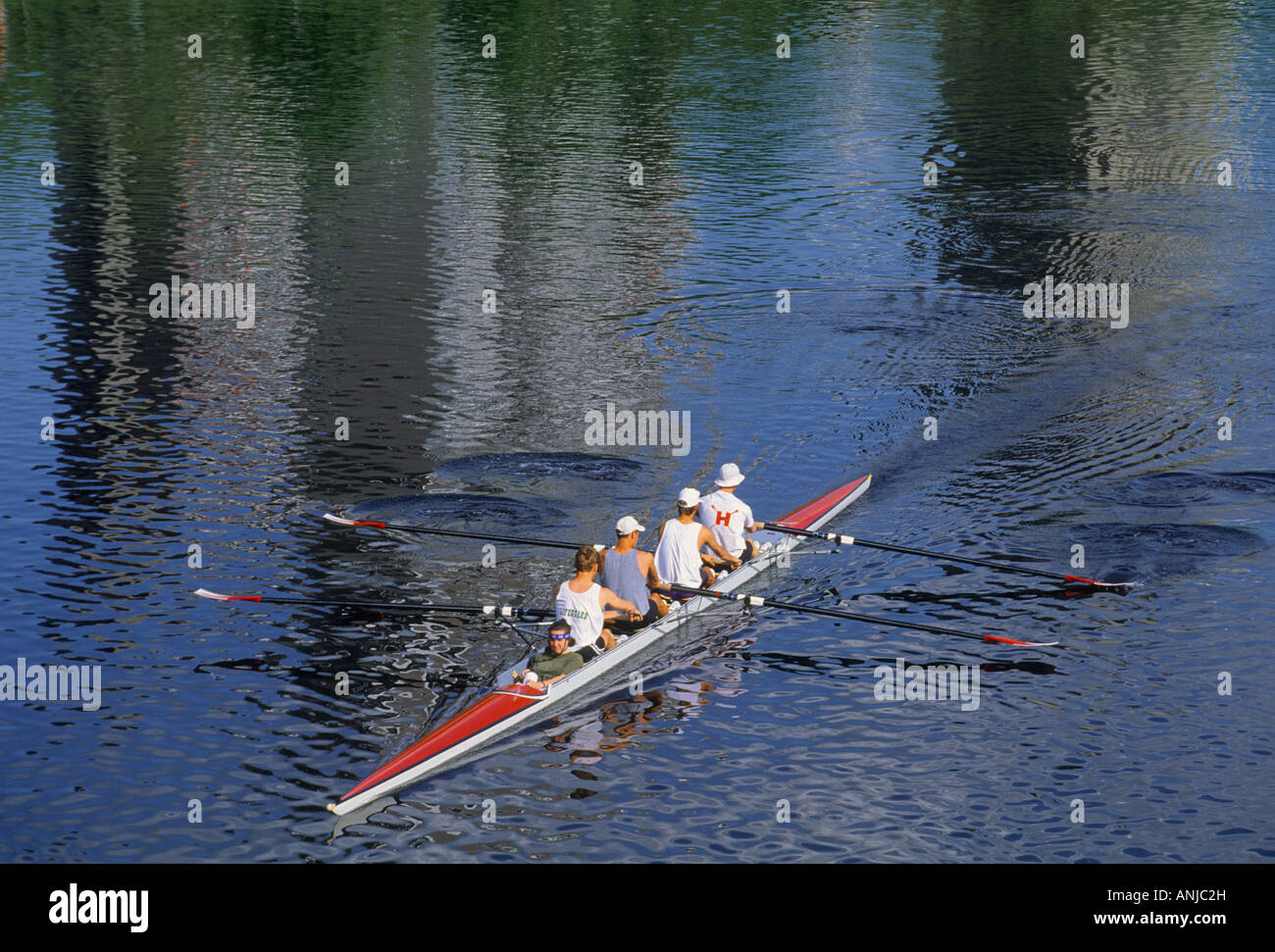 USA Cambridge Massachusetts Harvard University Sculling Team Stock ...