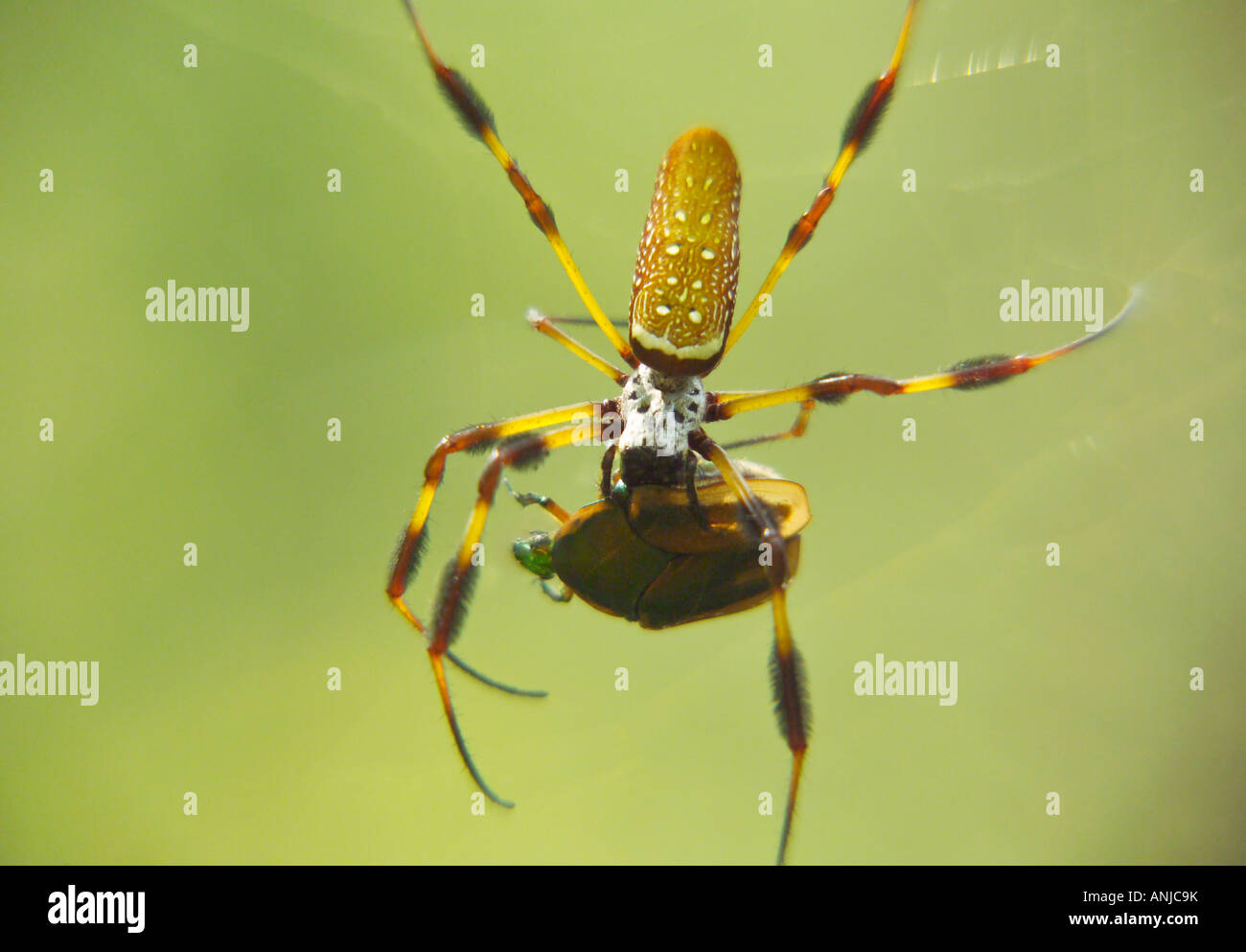 Mark j barrett hi-res stock photography and images - Alamy