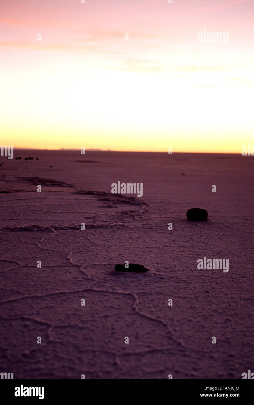 Hexagonal salt crystalization patterns on ground of the salt flats of ...