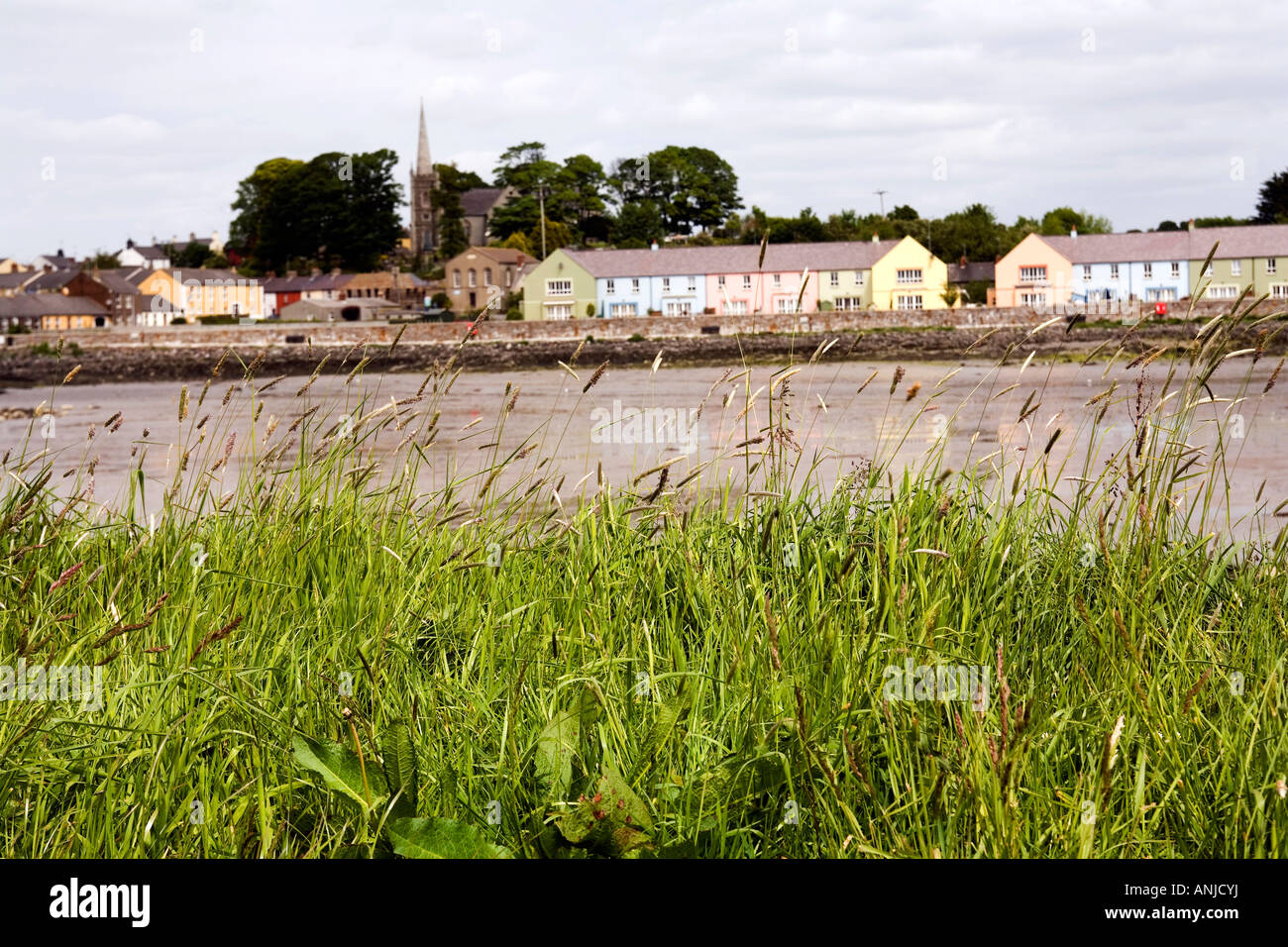UK Northern Ireland County Down Killyleagh grasses growing on Quayside ...