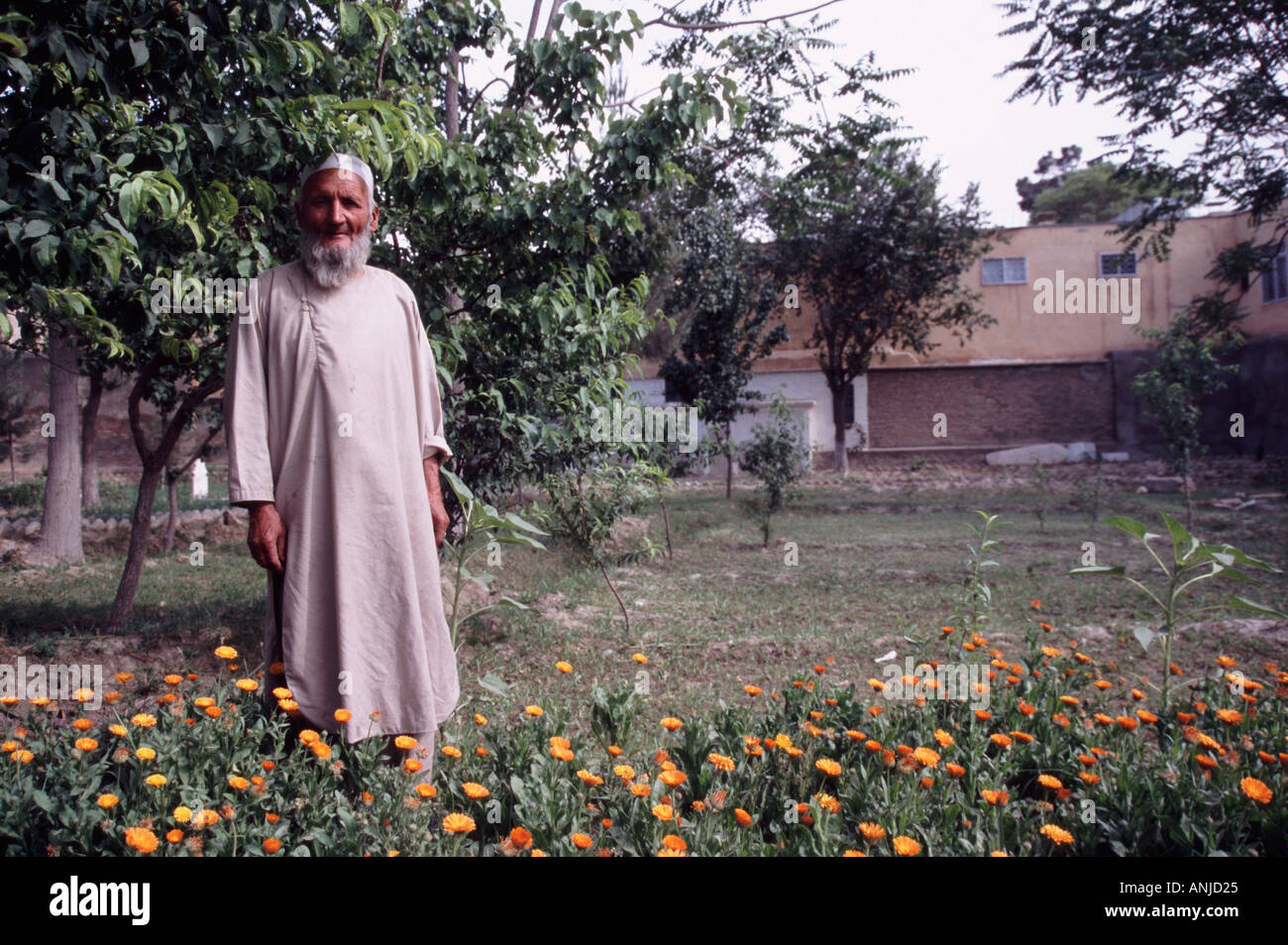 Kabul afghanistan cemetery hi-res stock photography and images - Alamy