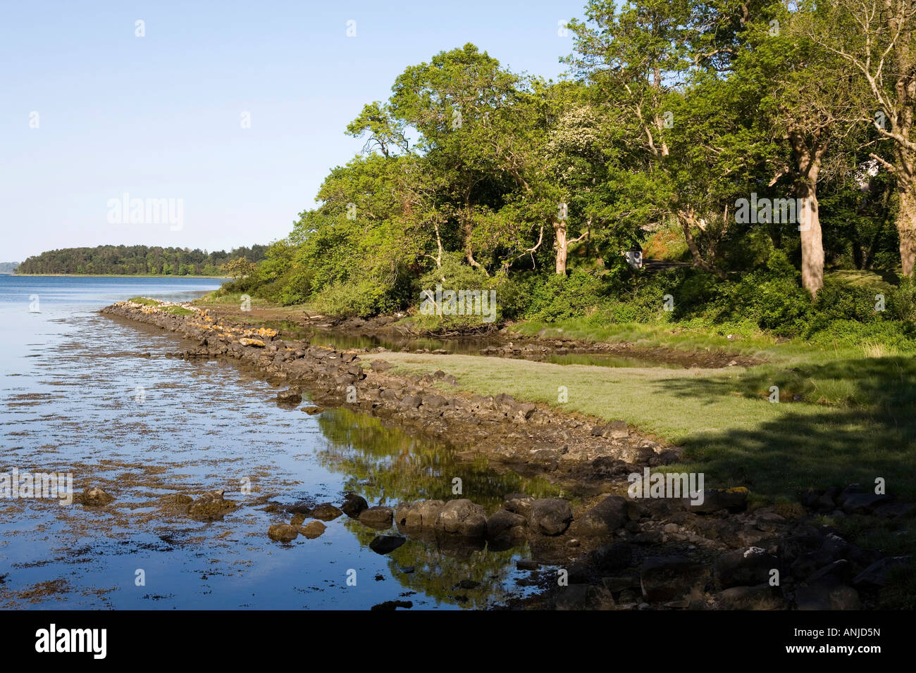 UK Northern Ireland County Down Reagh Island Strangford Lough coastal ...