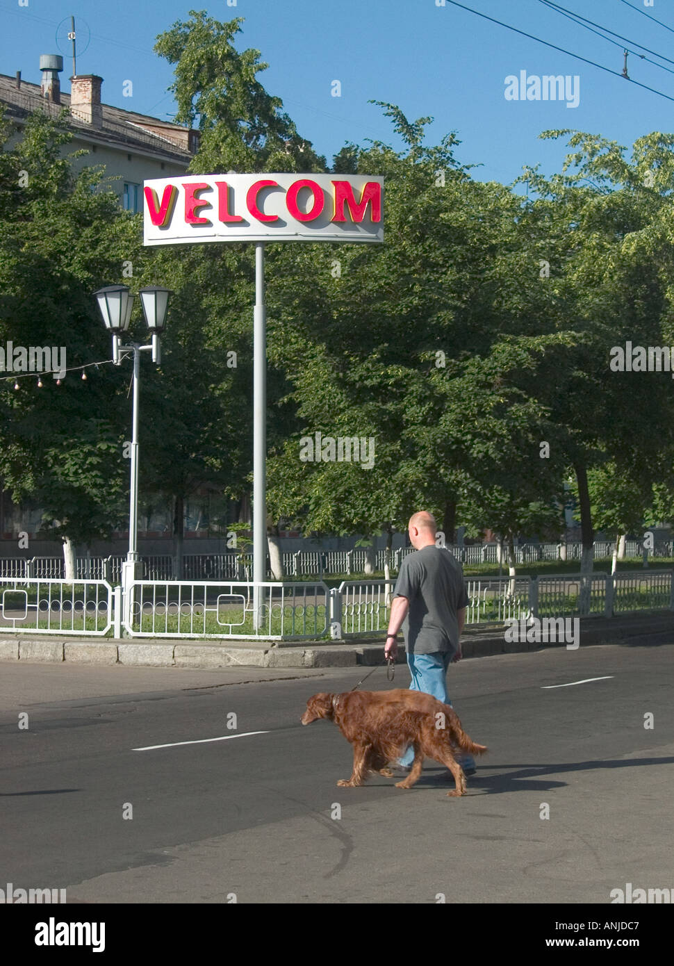 Velcom telecoms sign and logo mounted on metal pole, trees behind and ...
