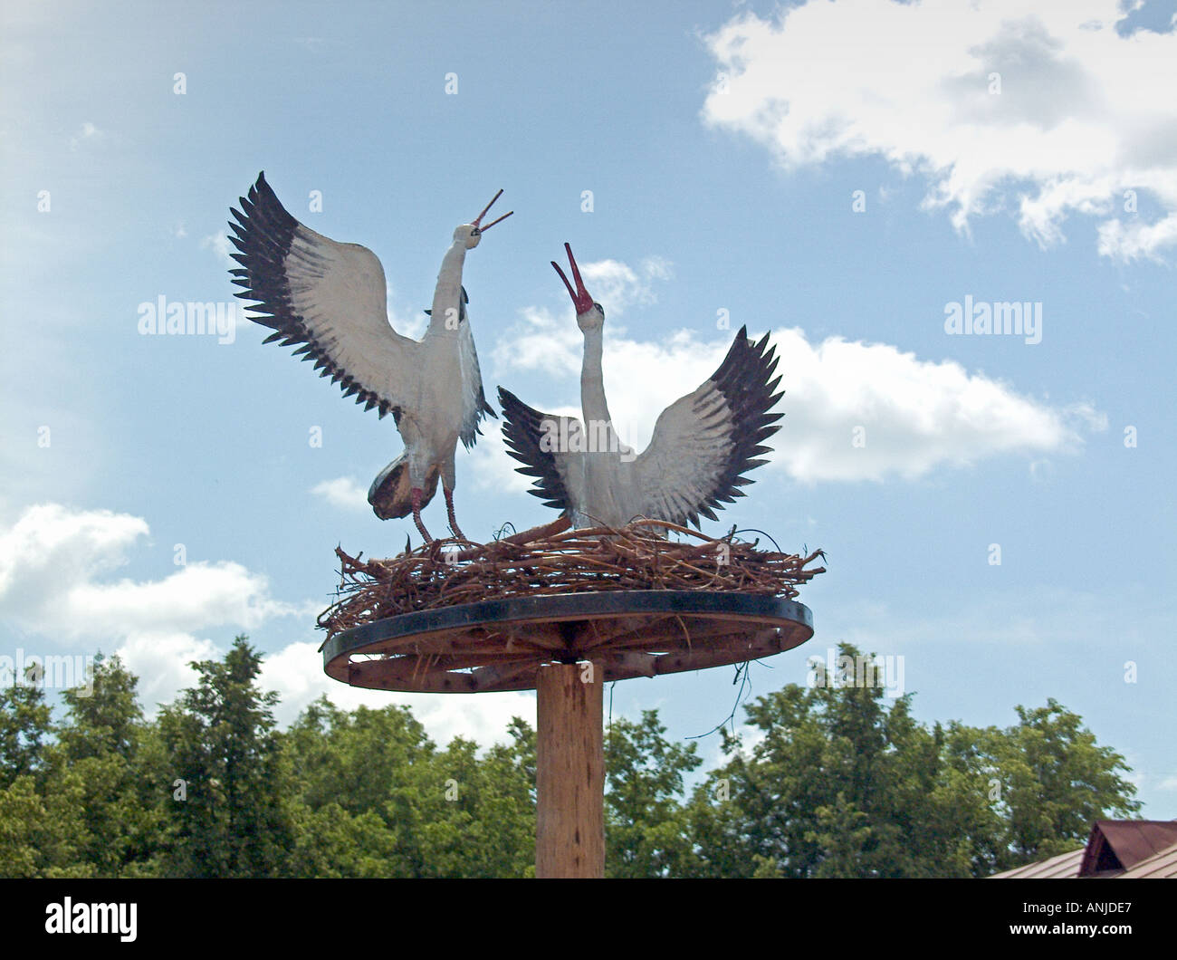 Belarus emblem hi-res stock photography and images - Alamy