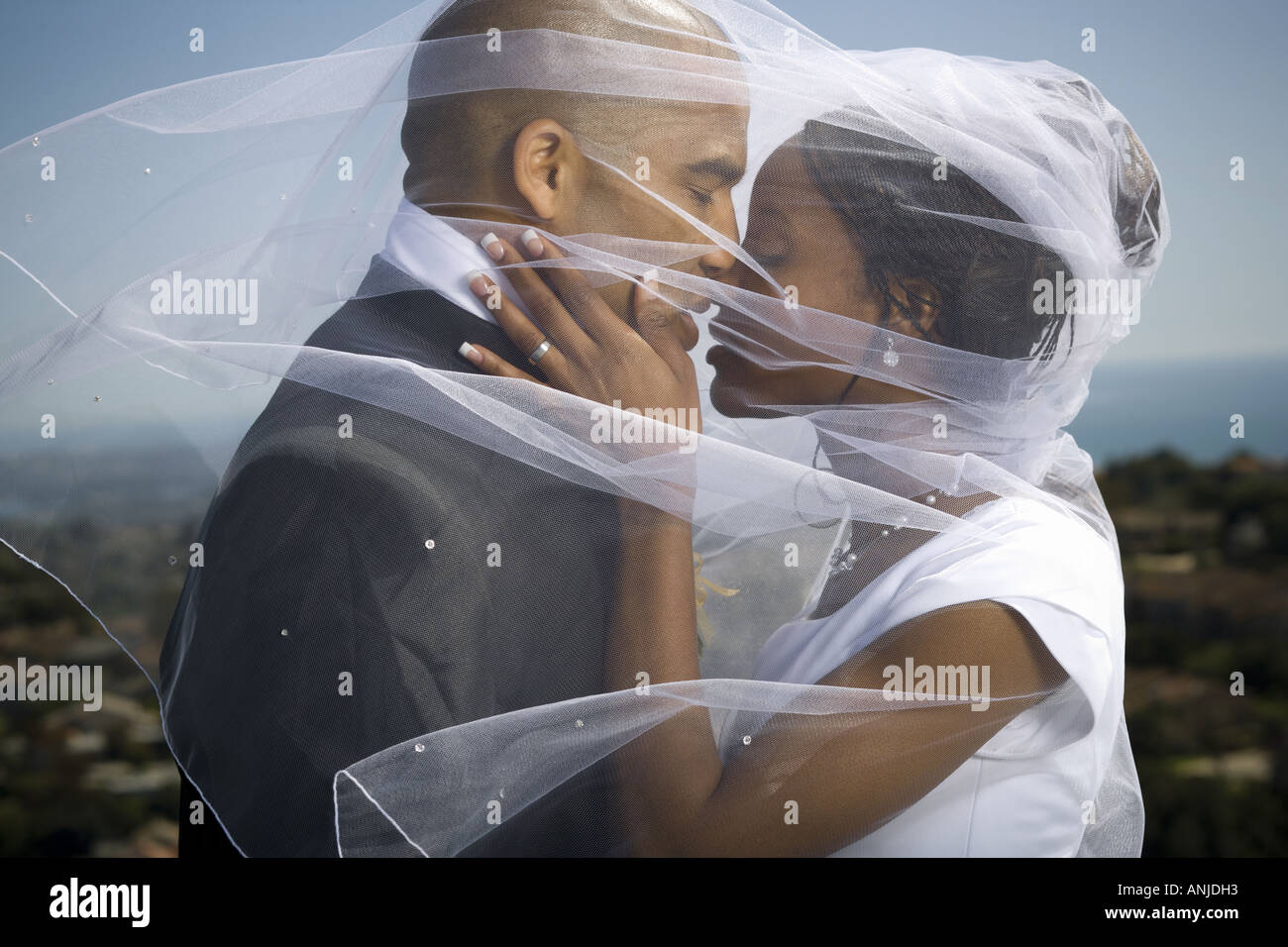 Profile of a newlywed couple kissing each other under a veil Stock ...
