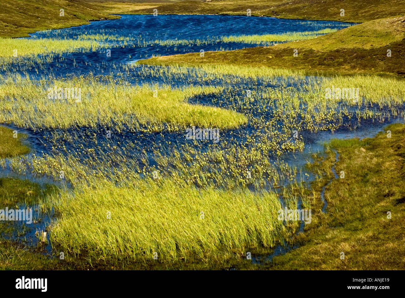 Shetlands loch hi-res stock photography and images - Alamy