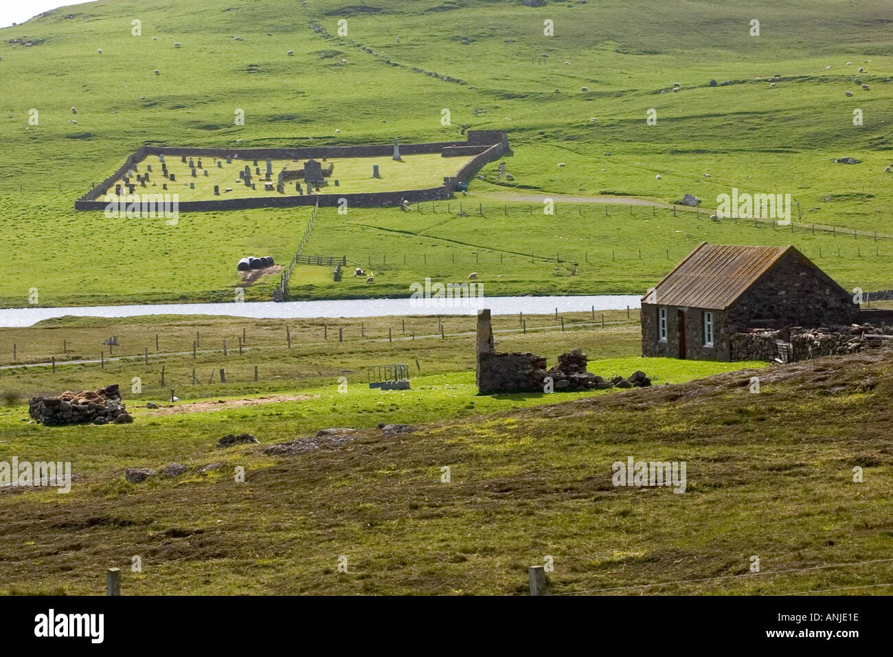 Shetland farm with ruins of old farm building and walled cemetery on ...