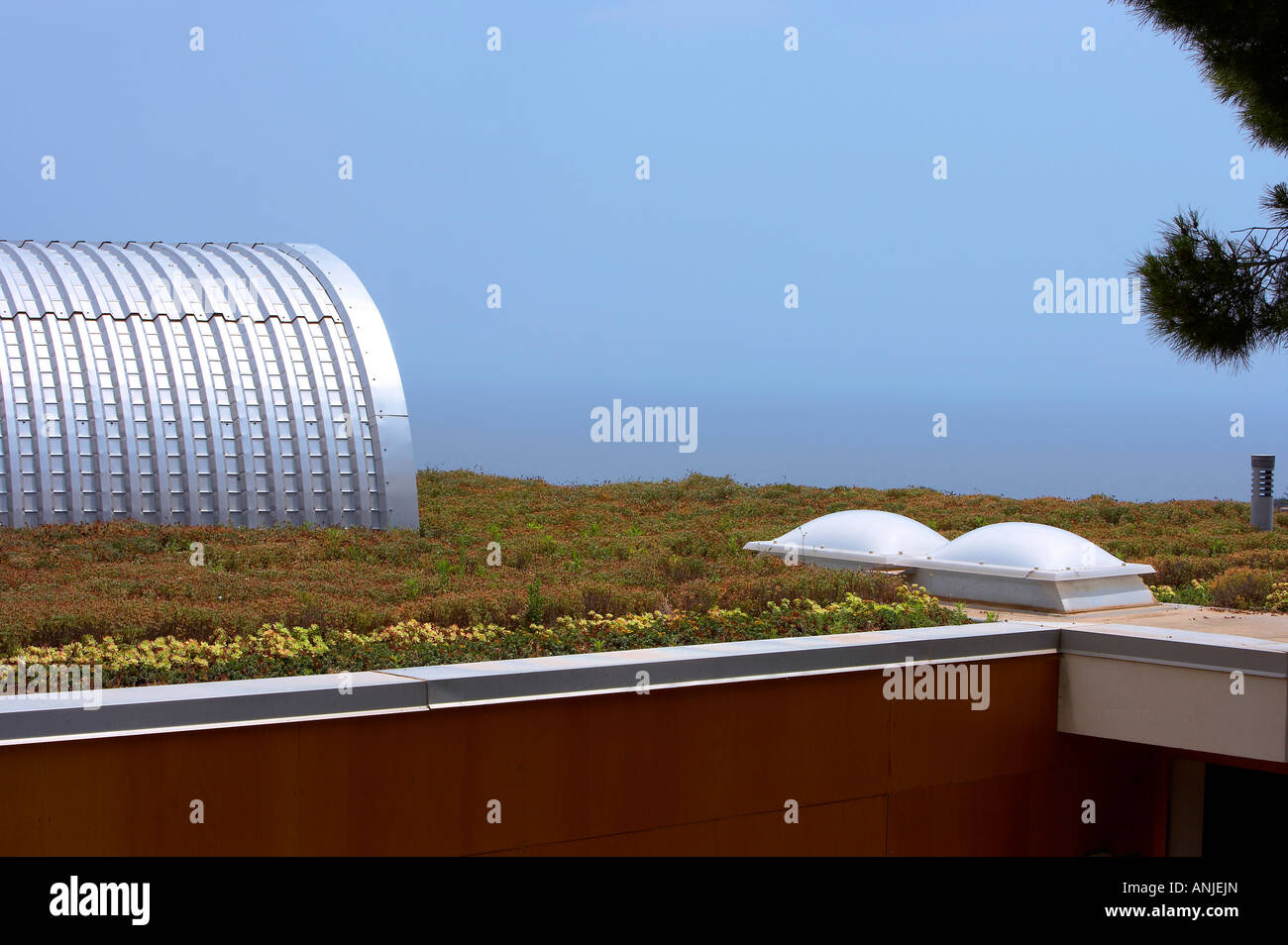 Surrounded by bushes hi-res stock photography and images - Alamy