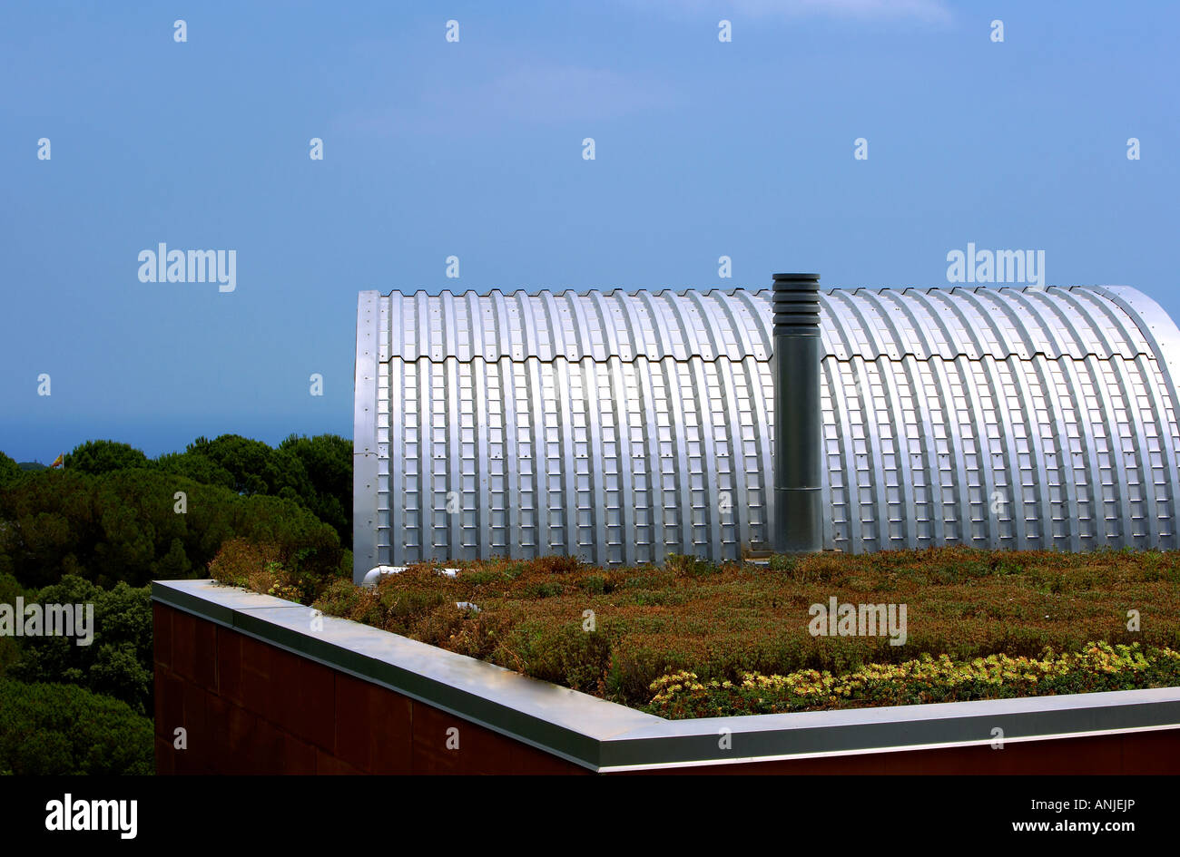 Surrounded by bushes hi-res stock photography and images - Alamy