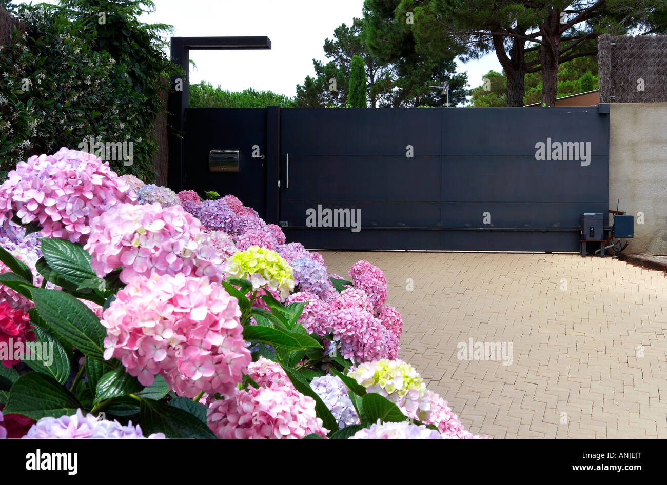 Garden with blue front gate and tile flooring Stock Photo - Alamy