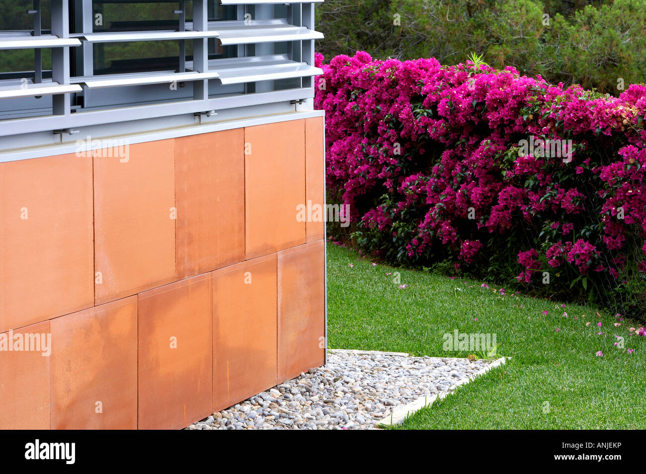 Backyard of building with tiled wall and garden Stock Photo - Alamy