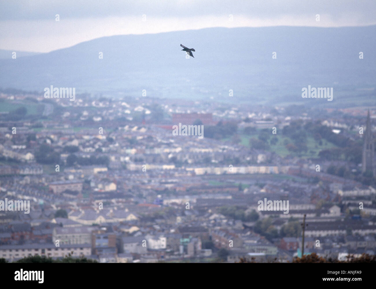 Housing estate londonderry northern ireland hi-res stock photography ...