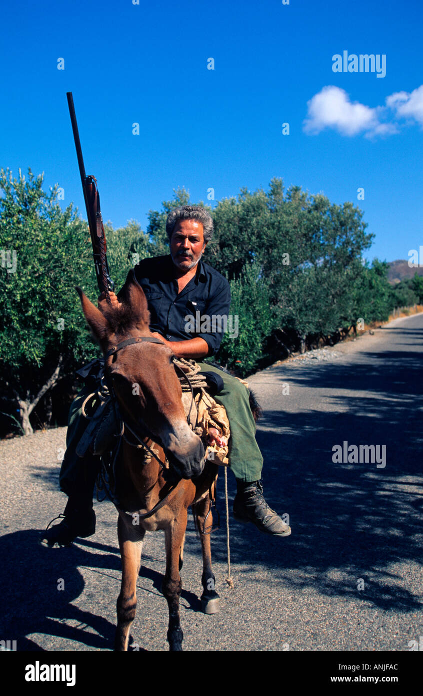 greece crete a man with a shotgun on a donkey in the west of crete ...