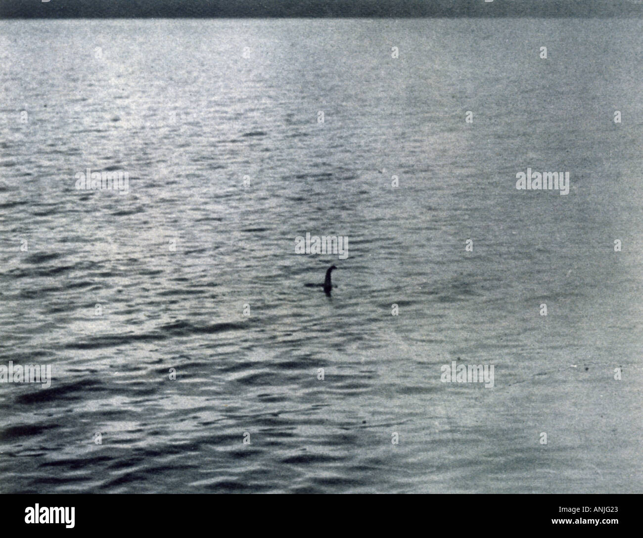 Loch Ness Monster Stock Photo - Alamy