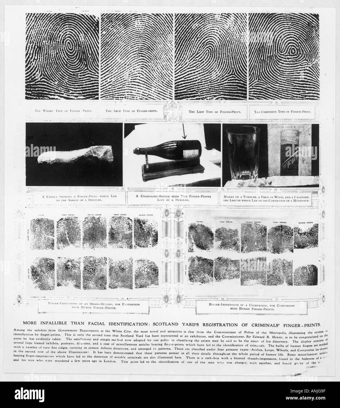 Fingerprint history Black and White Stock Photos & Images - Alamy
