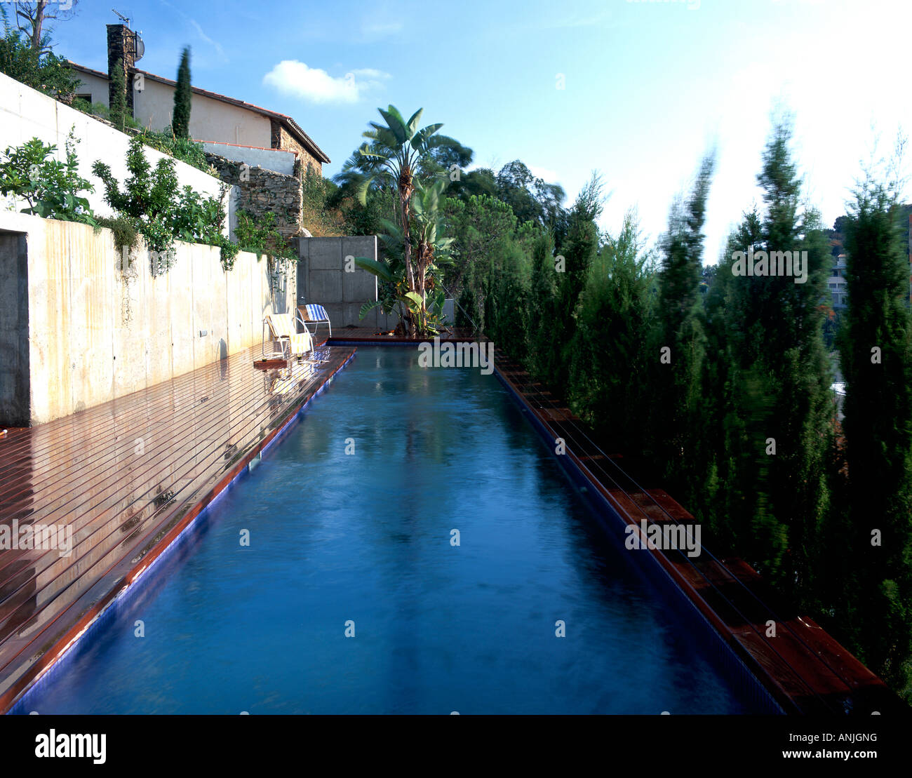 View of a long swimming pool Stock Photo - Alamy