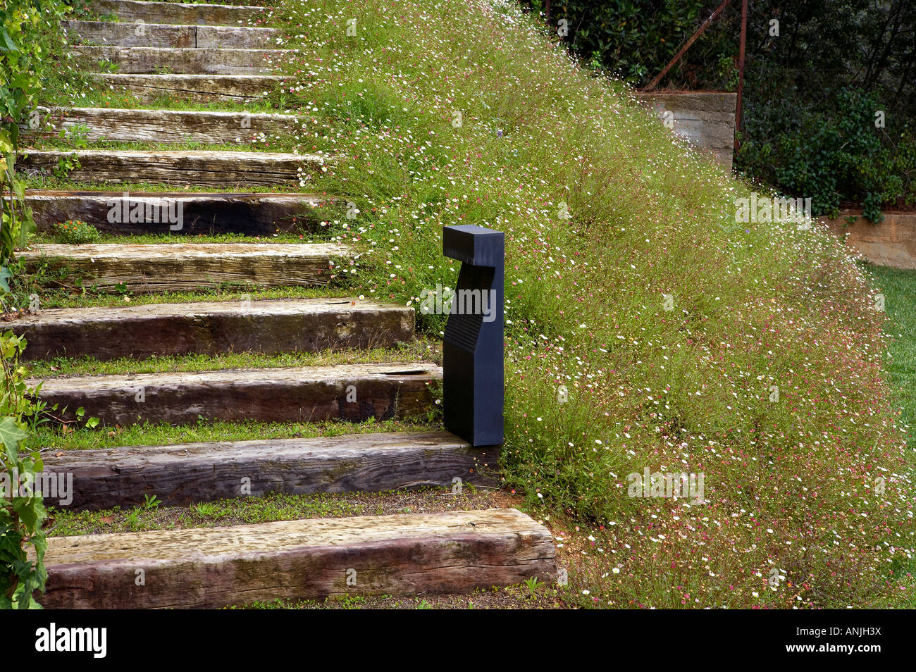Wooden steps with grass and flowers Stock Photo - Alamy