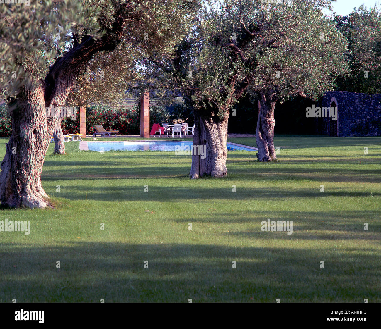 Very few trees hi-res stock photography and images - Alamy