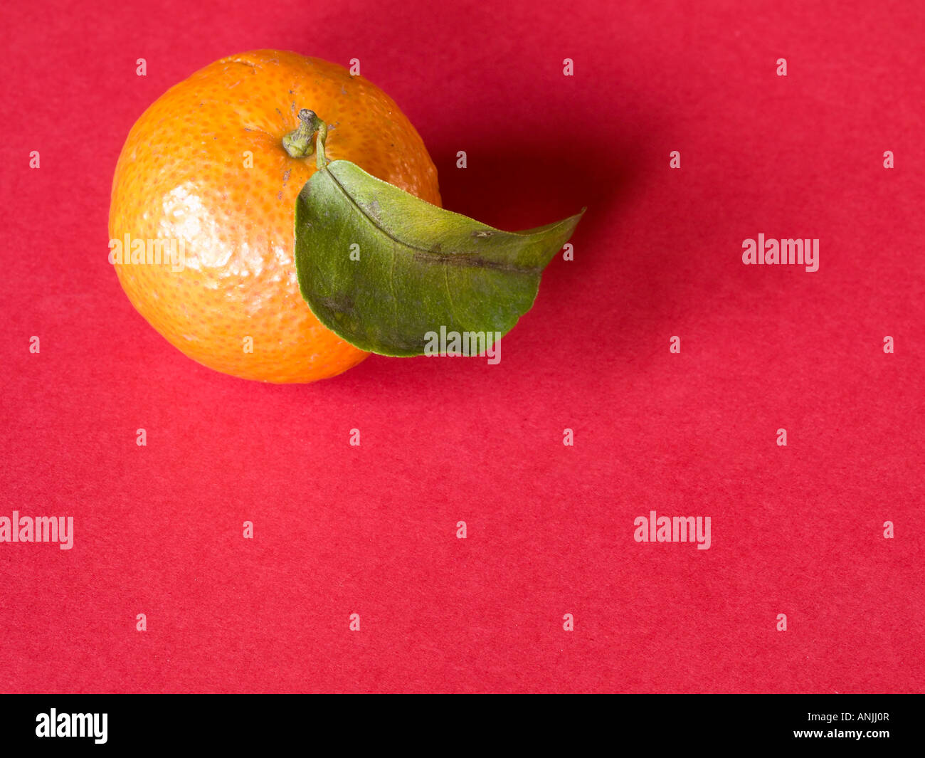 Single Tangerine with Leaf on Red Background Stock Photo - Alamy
