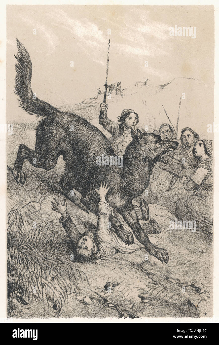 Beast of gevaudan hi-res stock photography and images - Alamy