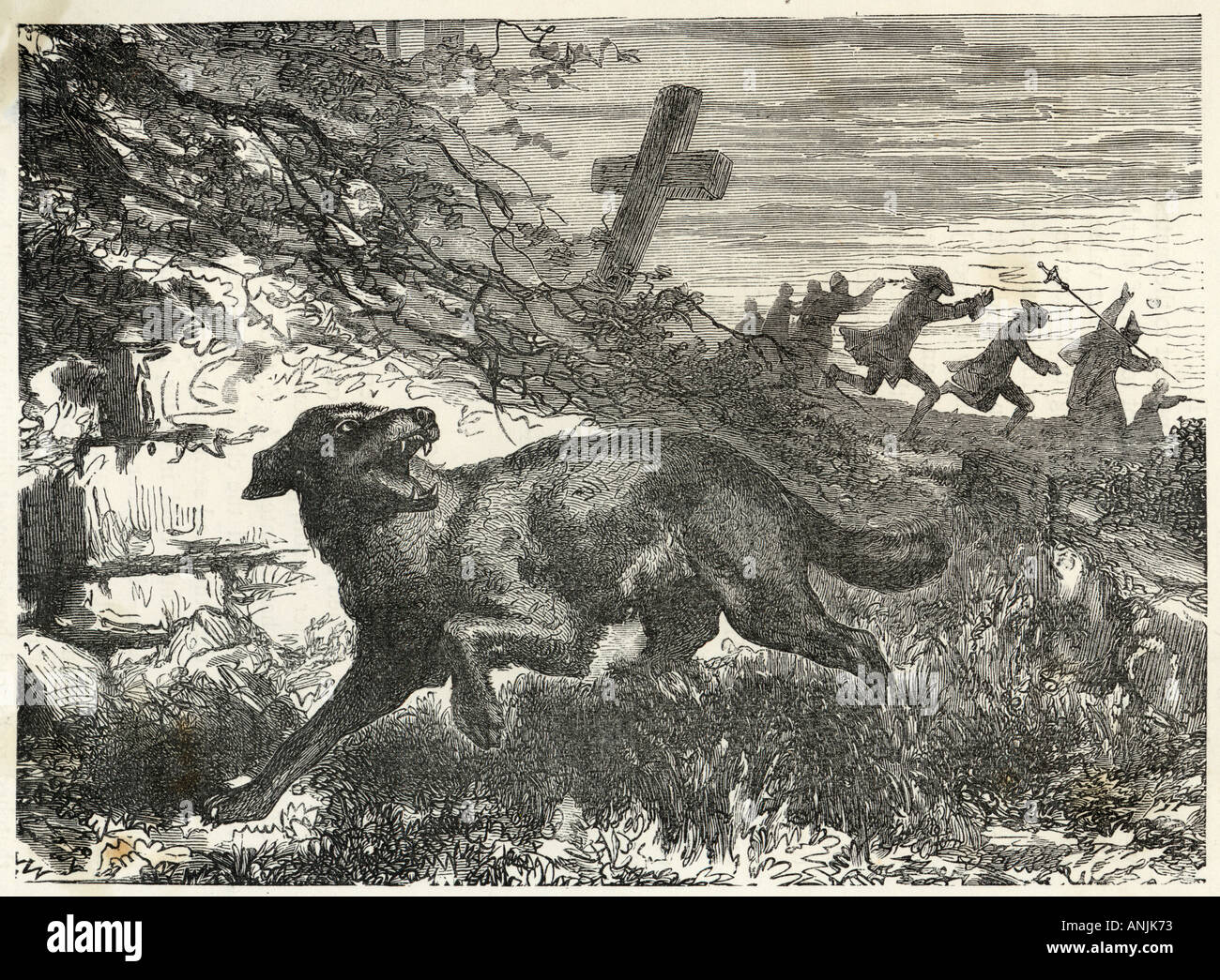 Werewolves folklore hi-res stock photography and images - Alamy