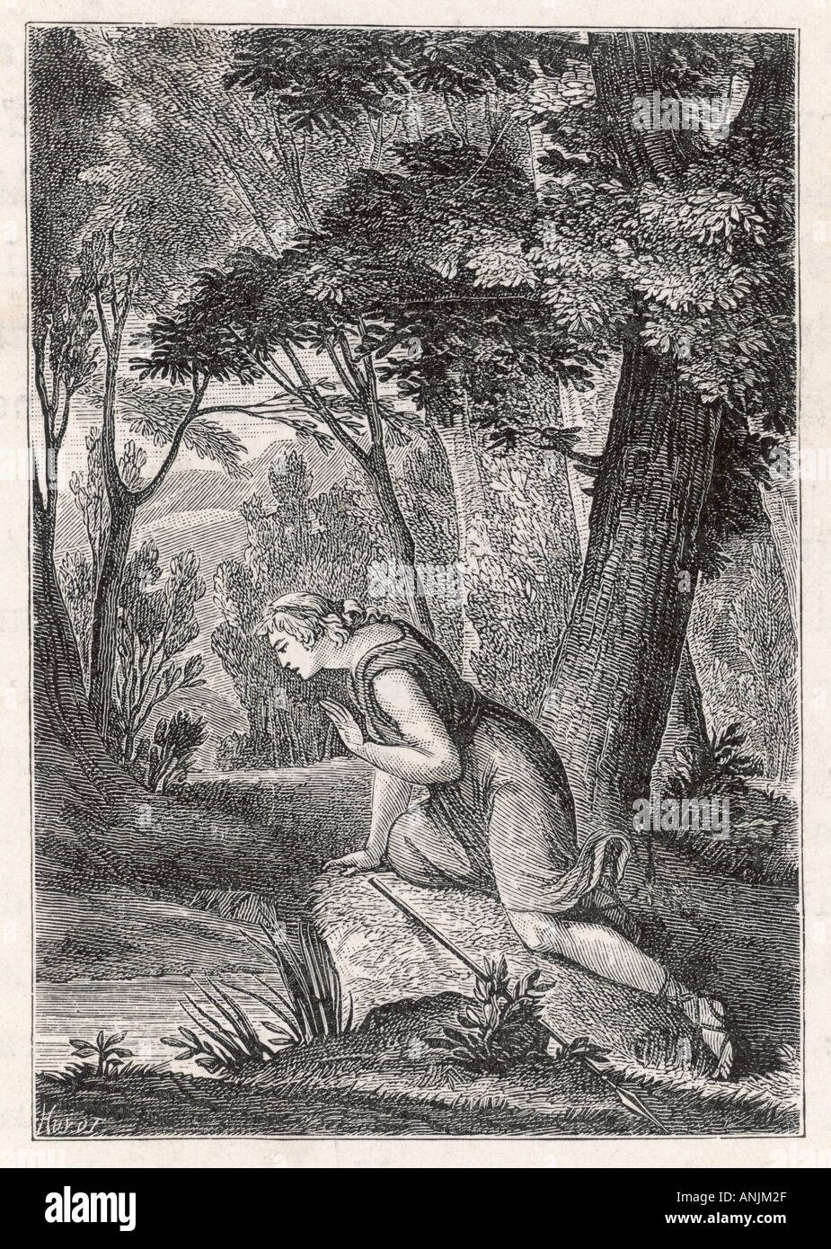 Narcissus greek mythology hi-res stock photography and images - Alamy