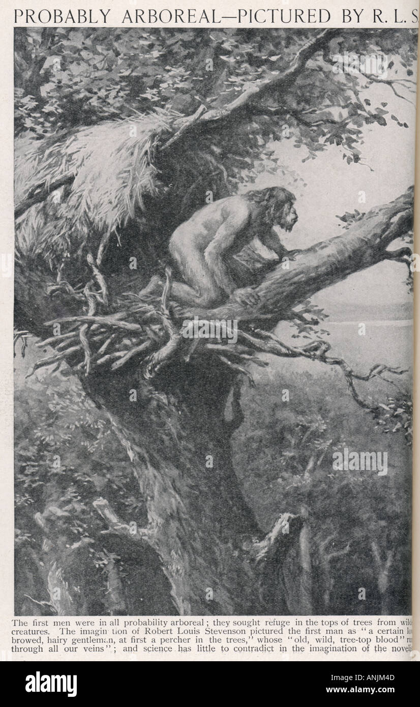 Neanderthal hi-res stock photography and images - Alamy