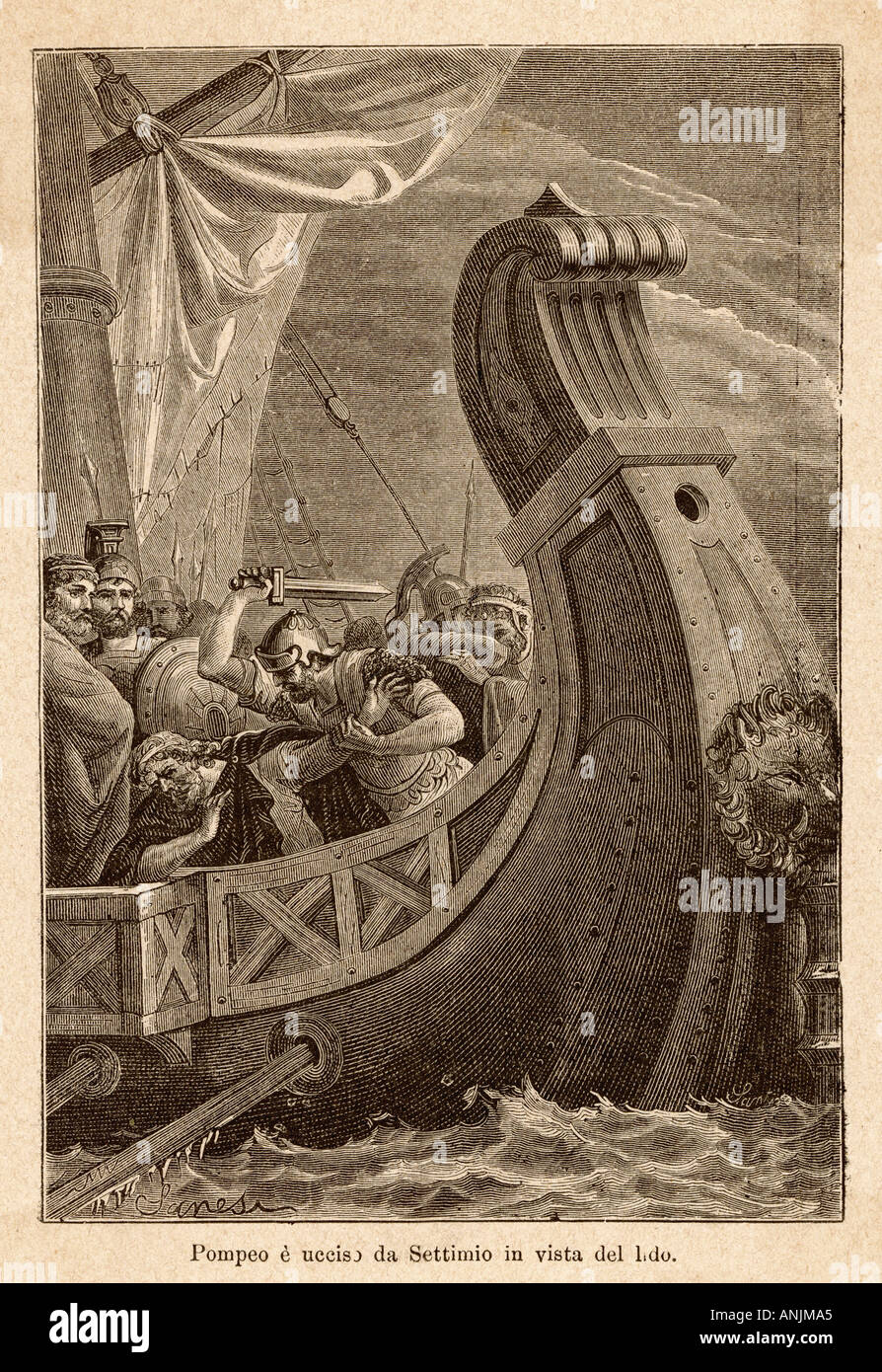 Caesar pompey head hi-res stock photography and images - Alamy