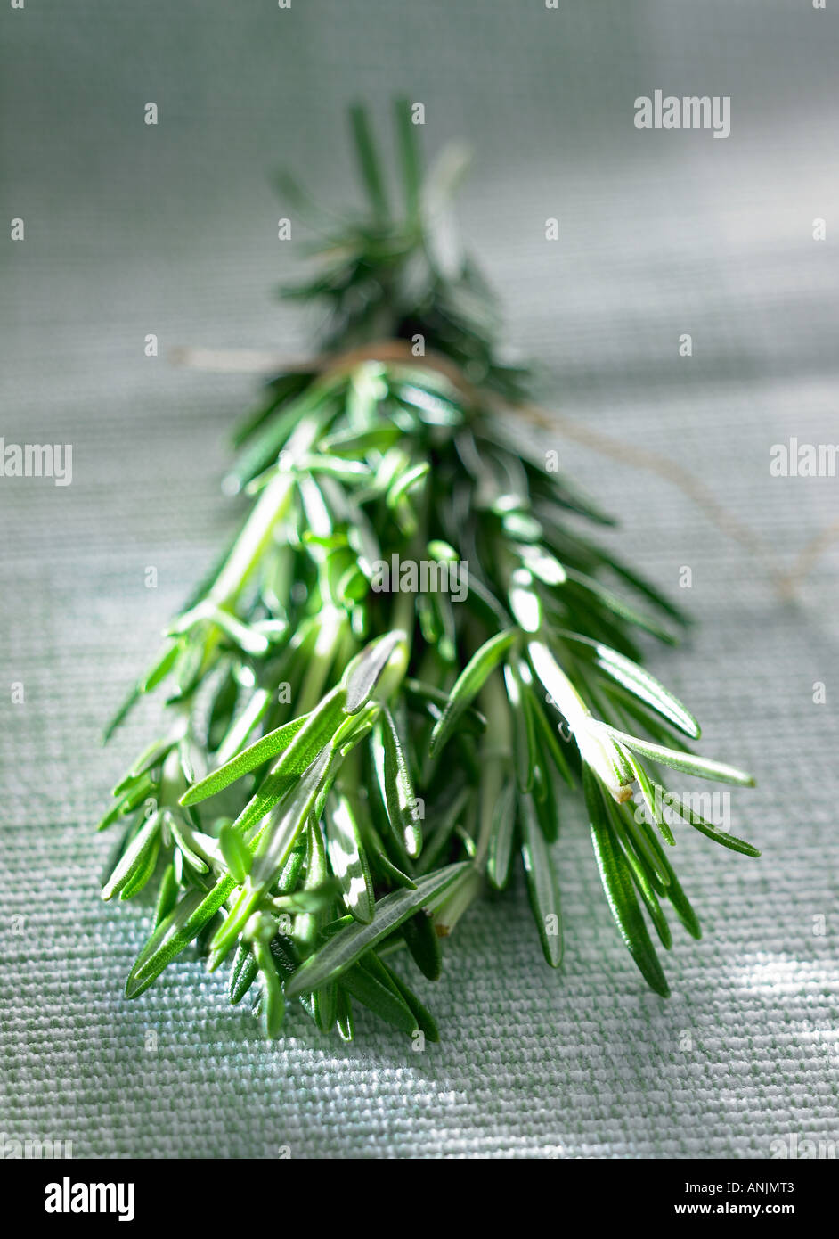 bunch of fresh rosemary Stock Photo - Alamy