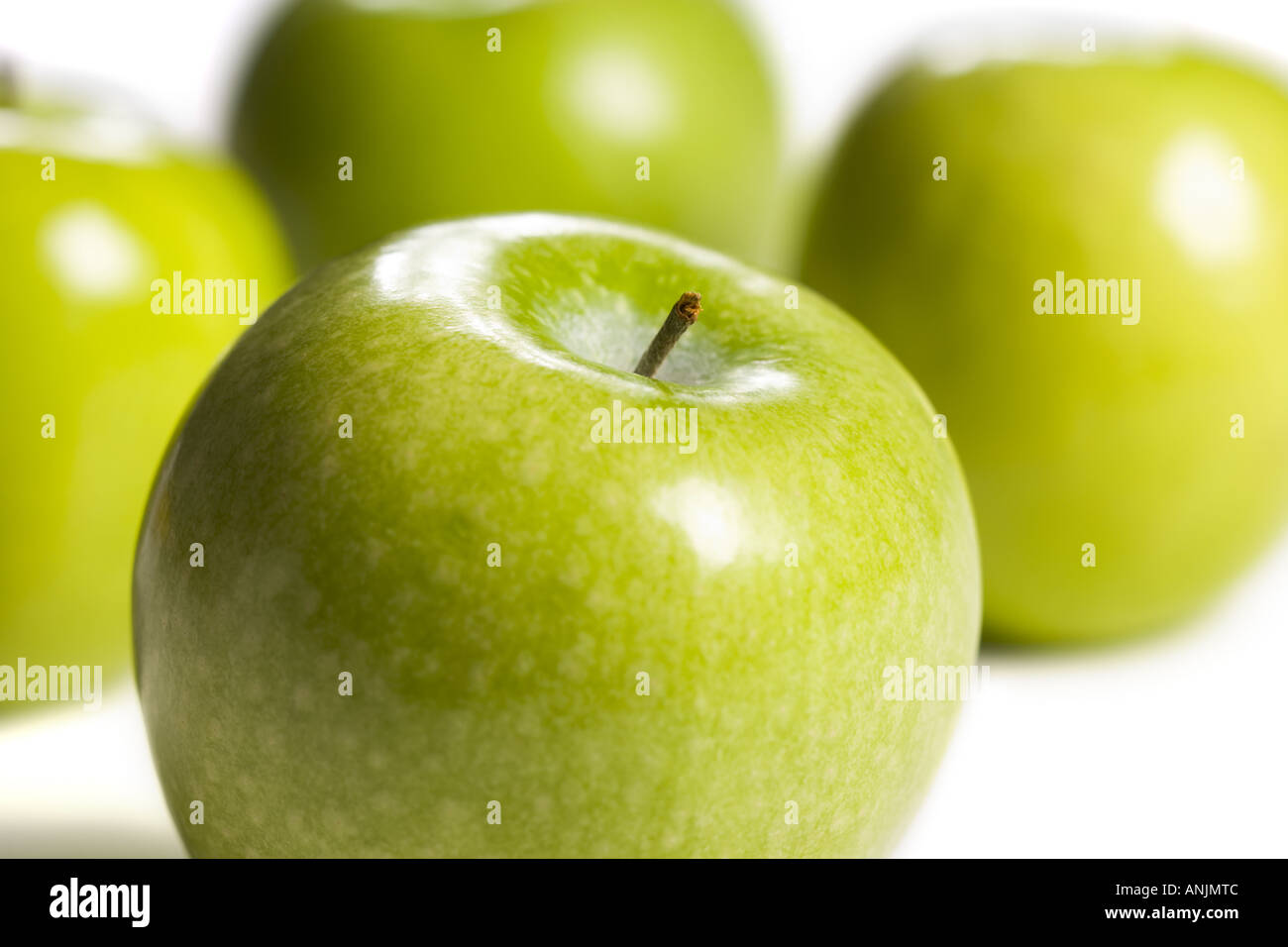 Aphis pomi hi-res stock photography and images - Alamy