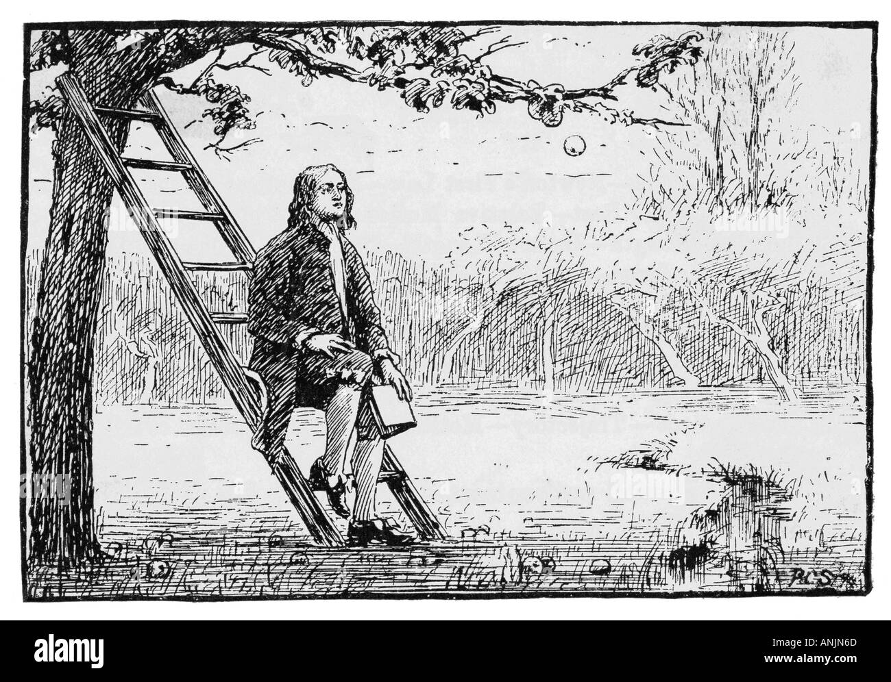 Sir isaac newton apple hi-res stock photography and images - Alamy