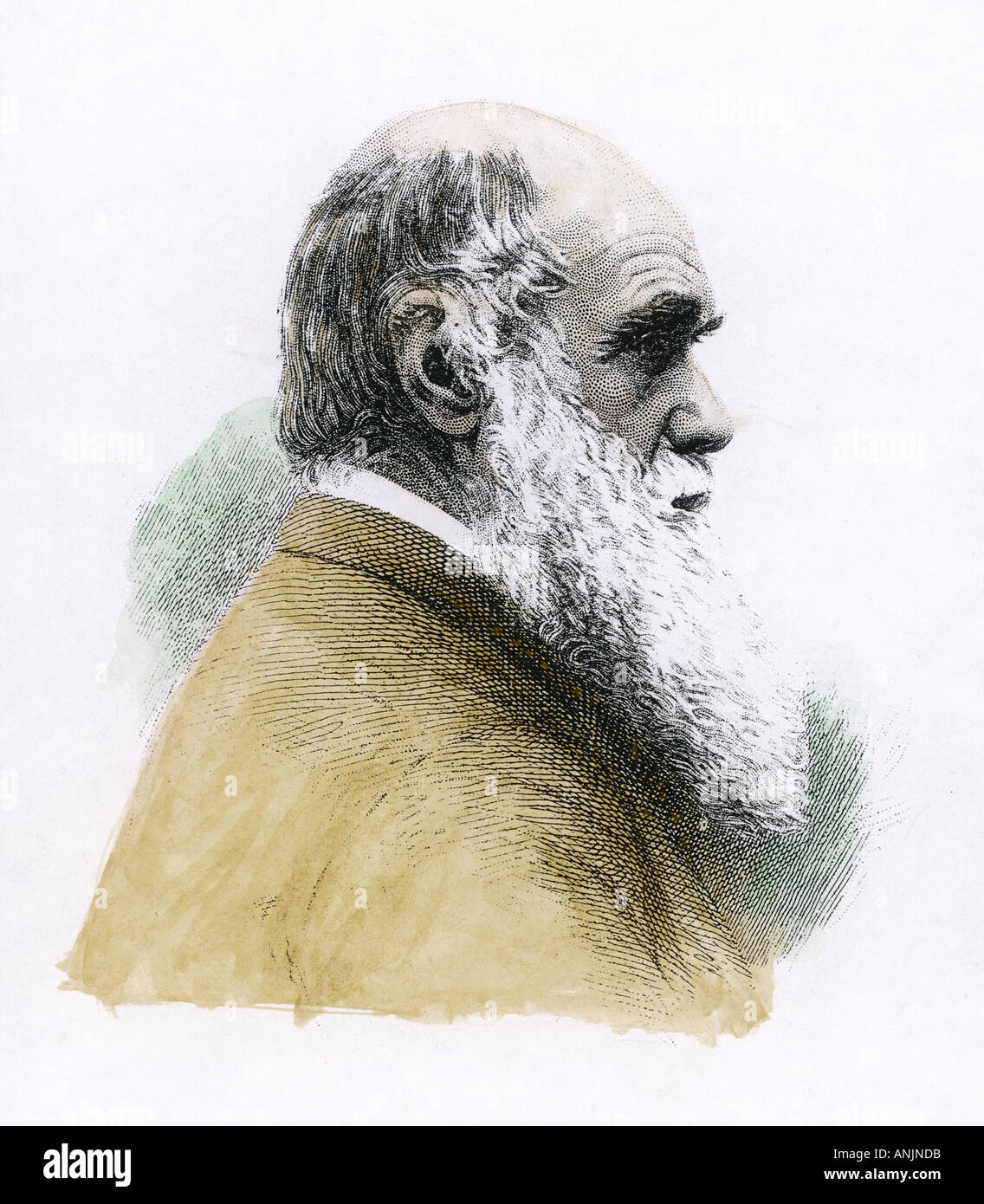 Charles darwin 1809 1882 naturalist hi-res stock photography and images ...