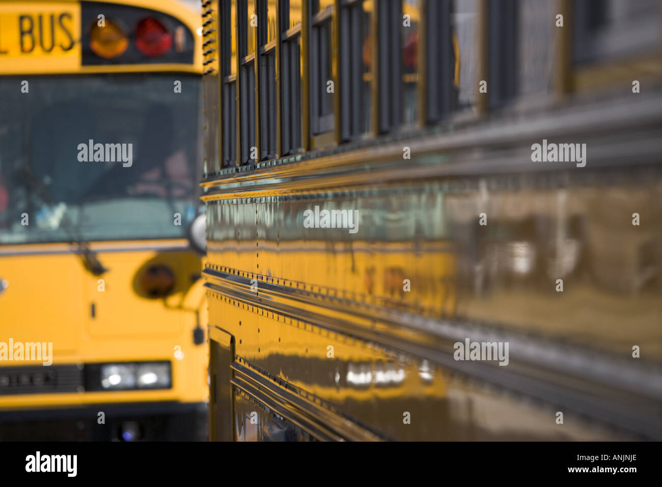Close Up of two school buses Stock Photo - Alamy