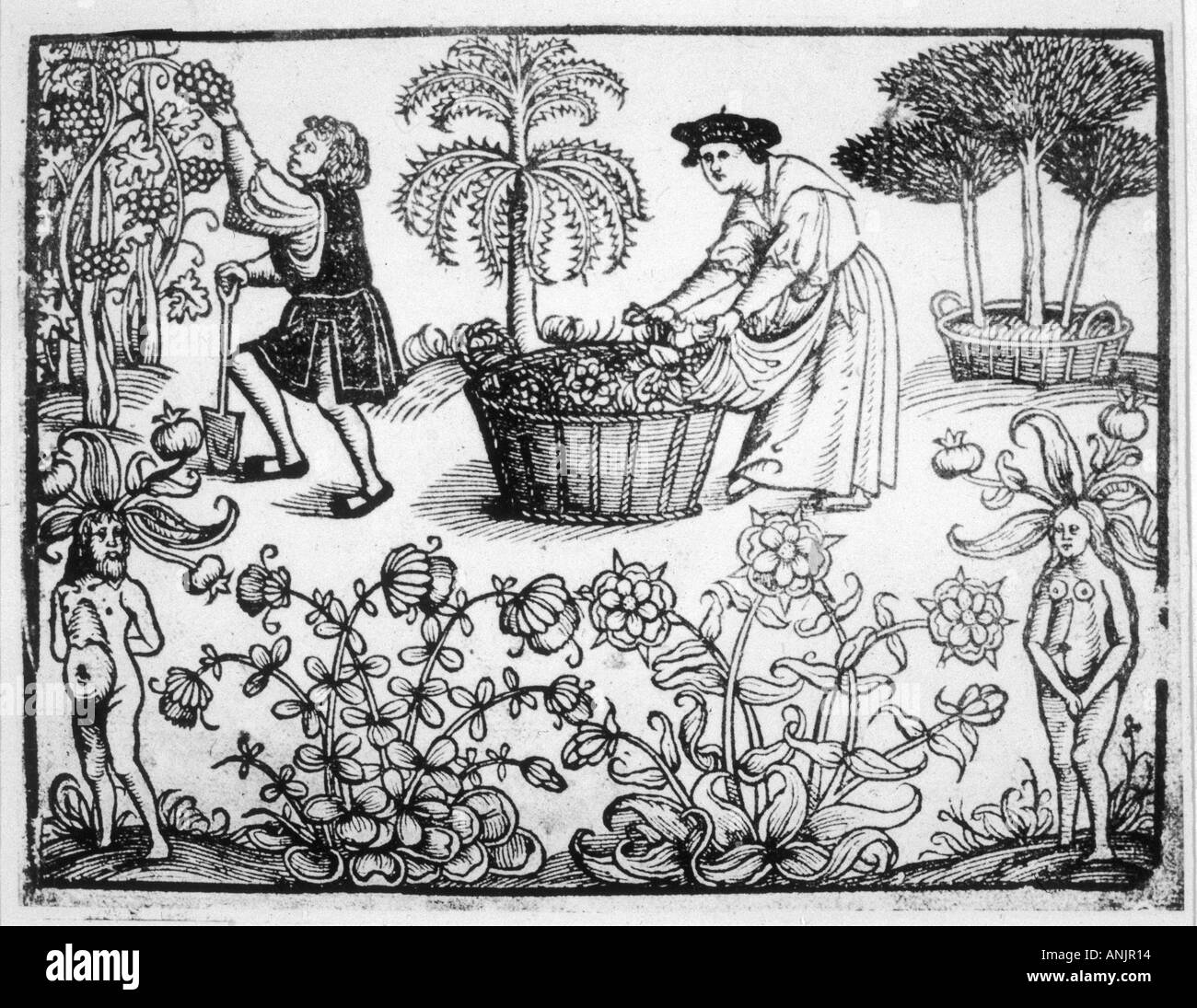 Medieval herb garden hi-res stock photography and images - Alamy