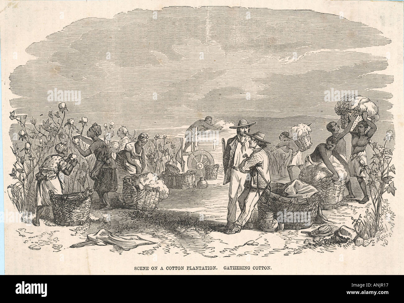 Slavery america hi-res stock photography and images - Alamy