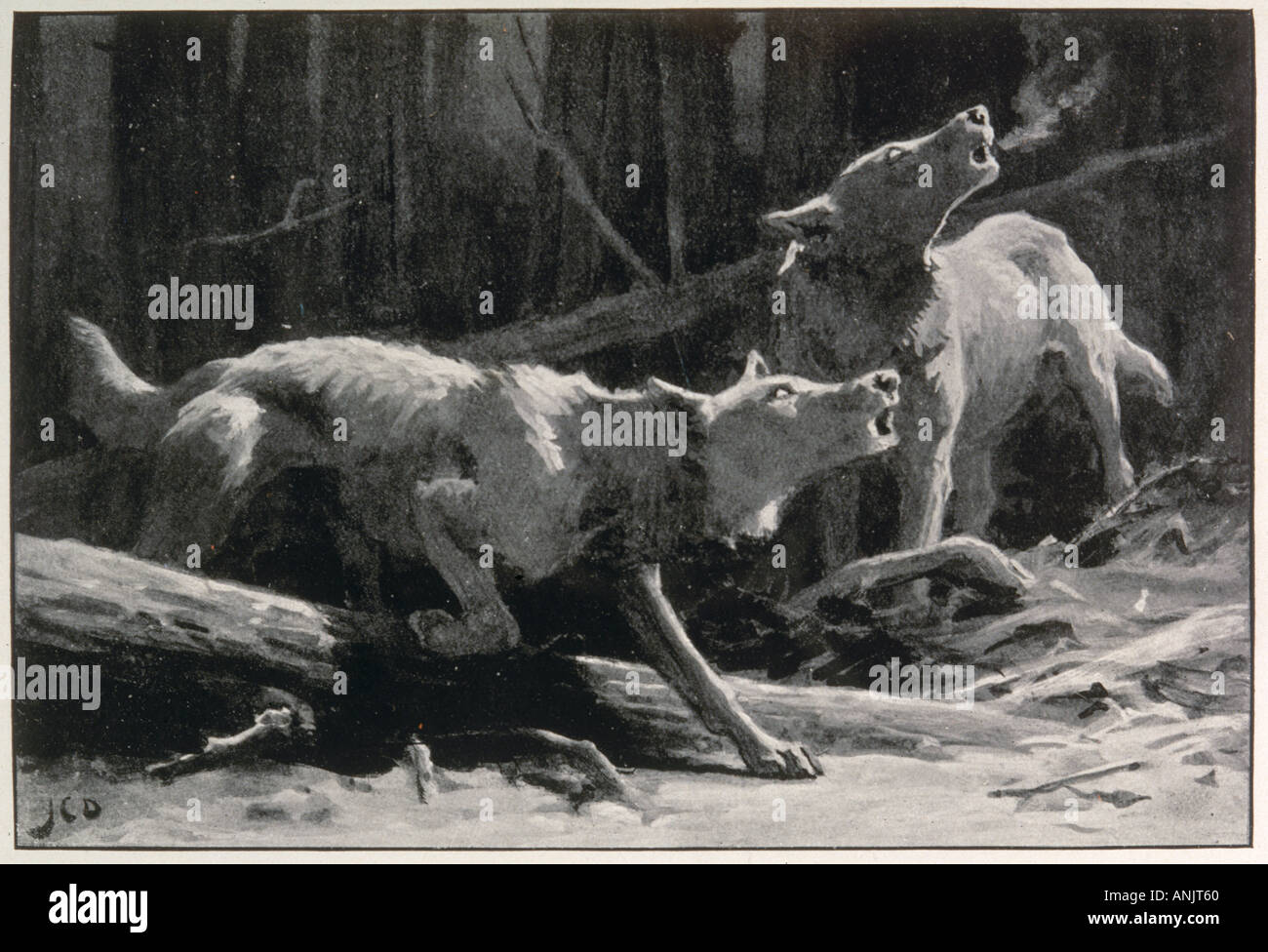 Werewolves hi-res stock photography and images - Alamy