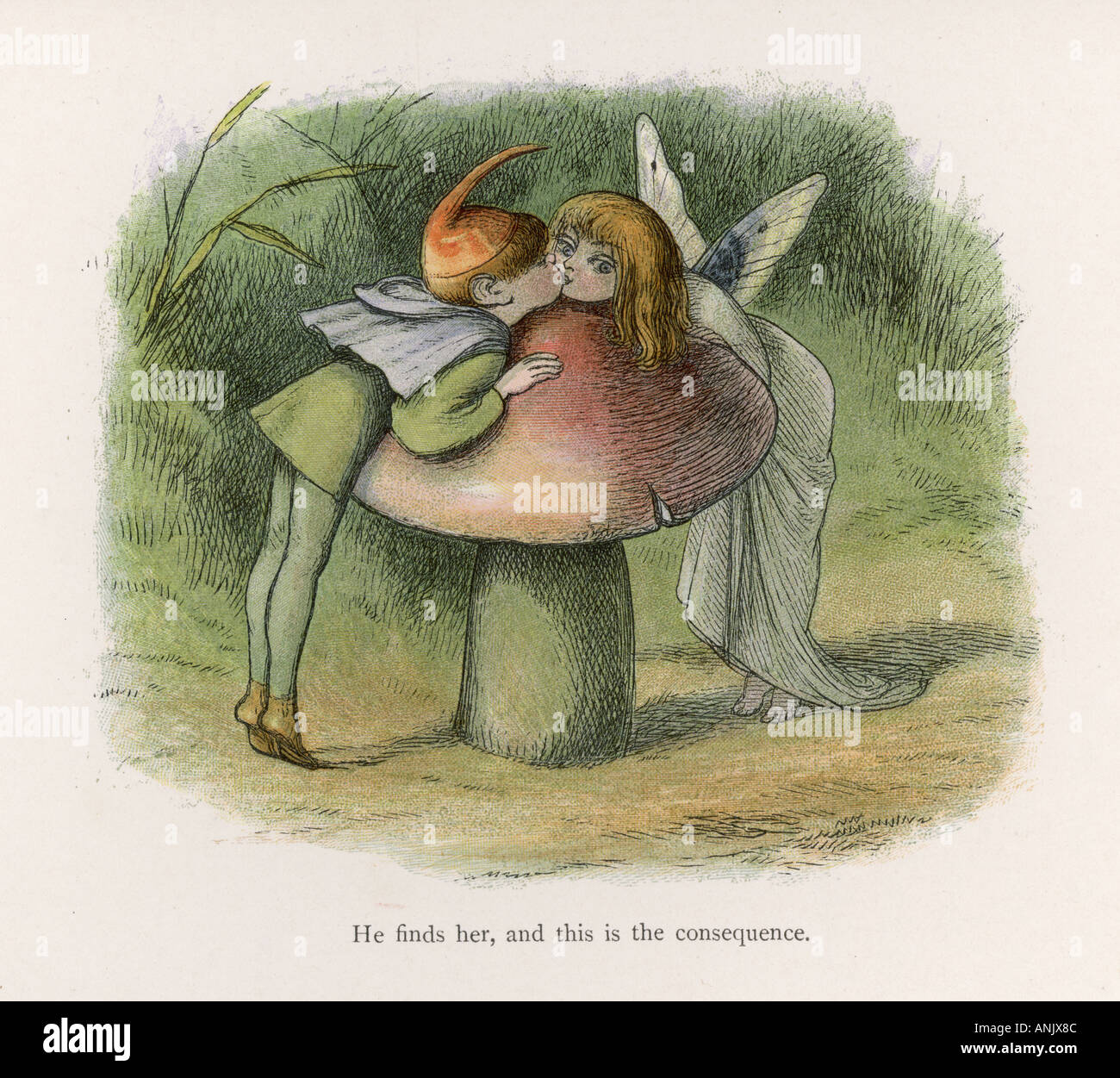 Toadstool folklore history historical hi-res stock photography and ...