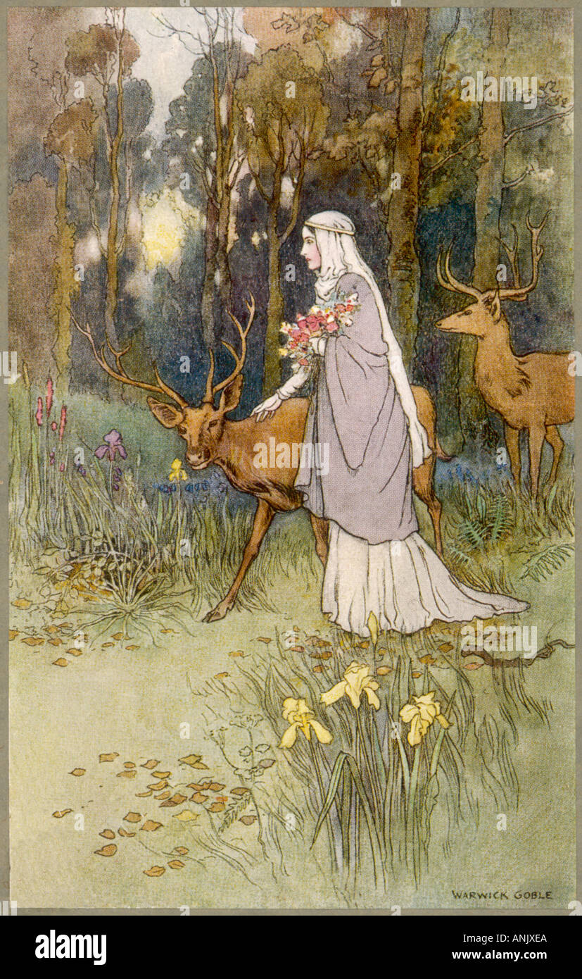 Timid Dun Deer Woman Stock Photo - Alamy