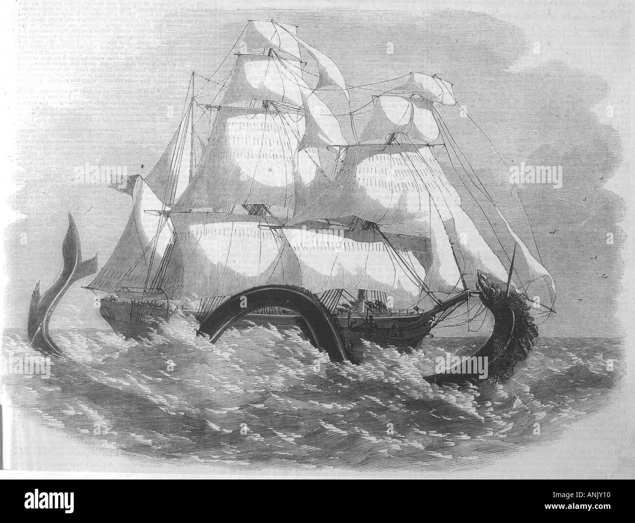Serpent master hi-res stock photography and images - Alamy