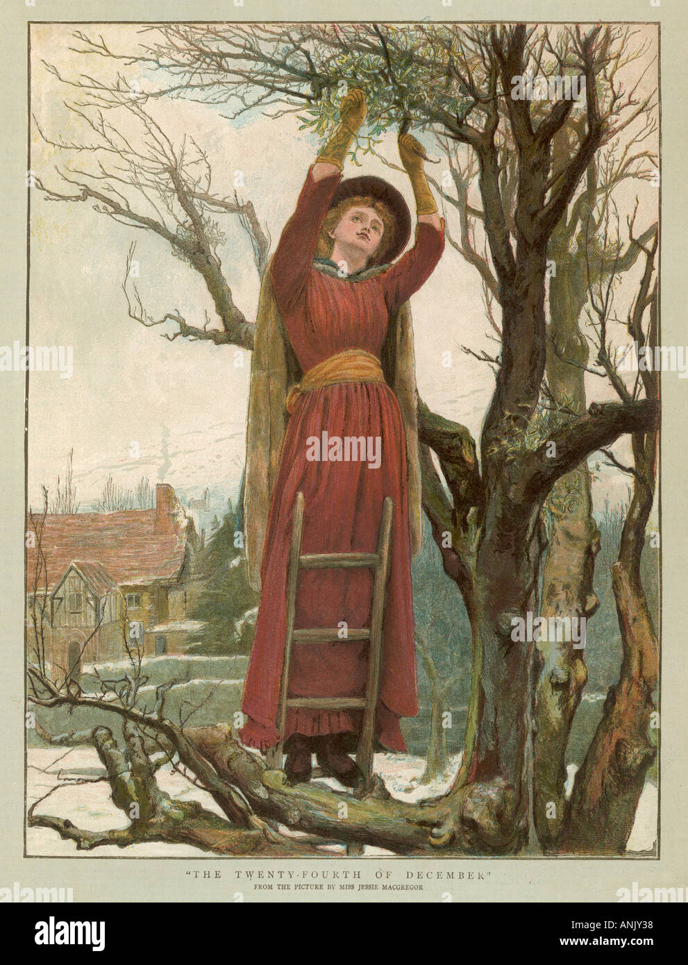 Mistletoe historical hi-res stock photography and images - Alamy