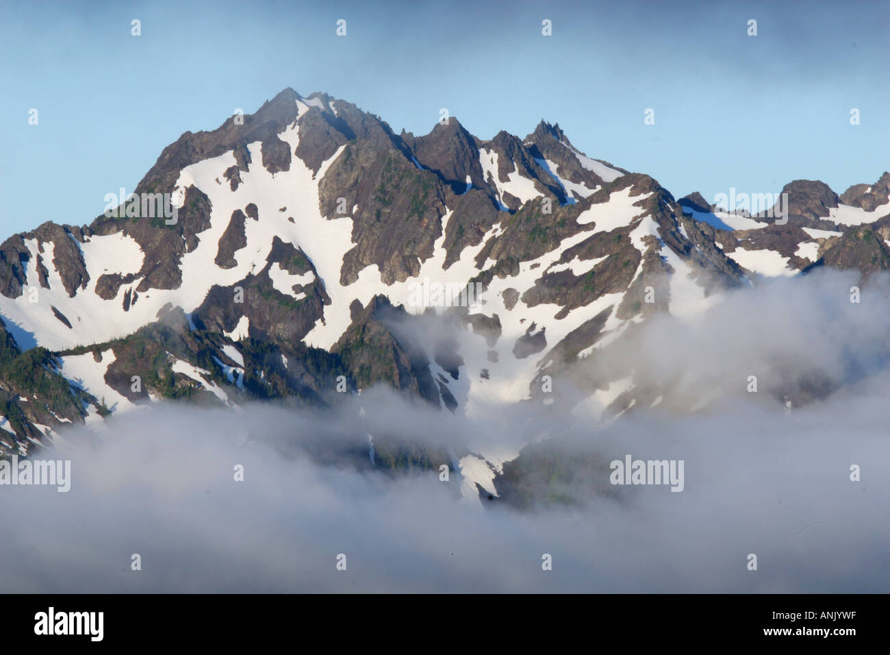 A mountian in the Olympic Range in Olympic National Park, Washington ...