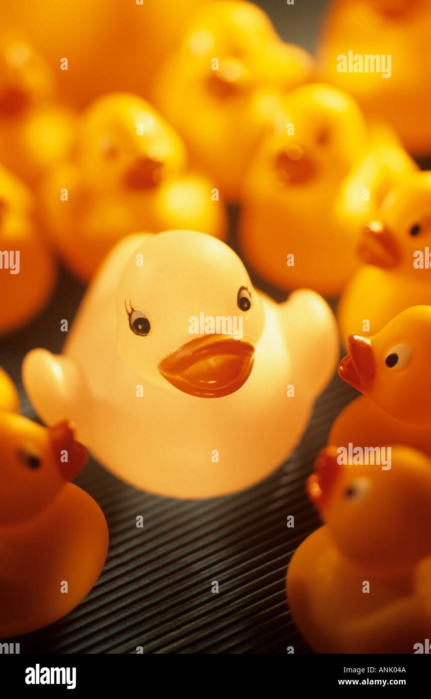 Rubber ducks odd hi-res stock photography and images - Alamy