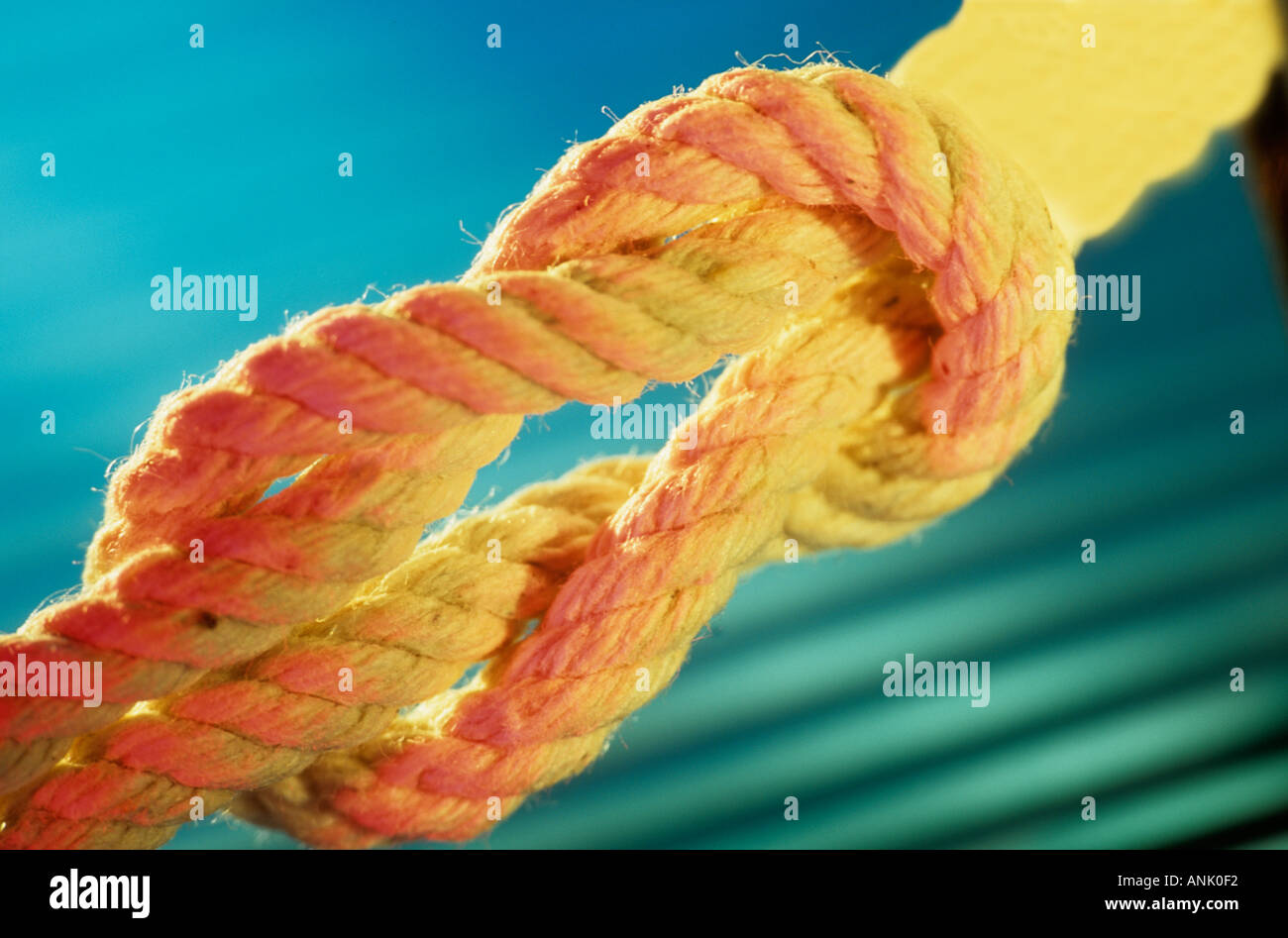 Knot in rope Stock Photo - Alamy