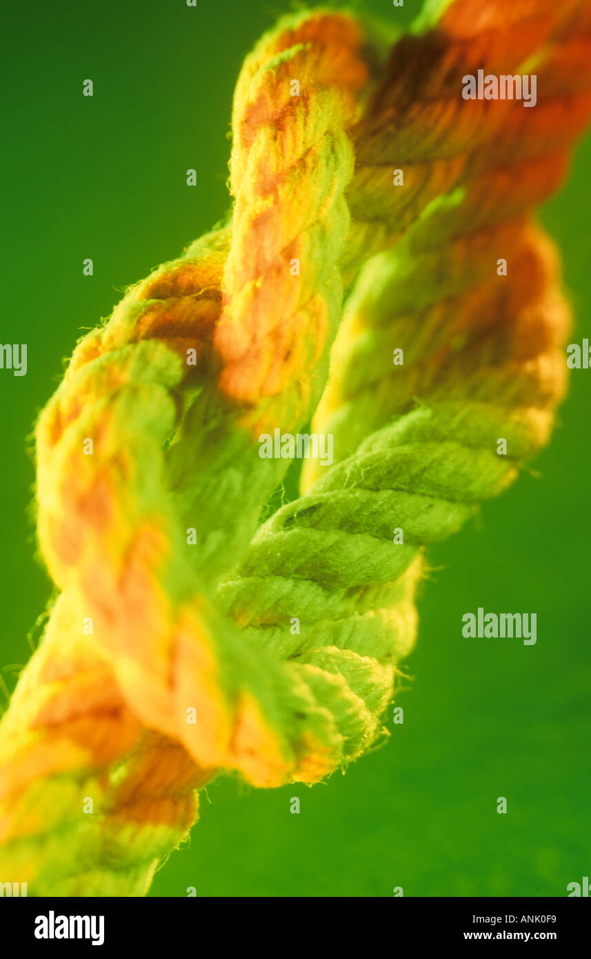 Knot in rope Stock Photo - Alamy
