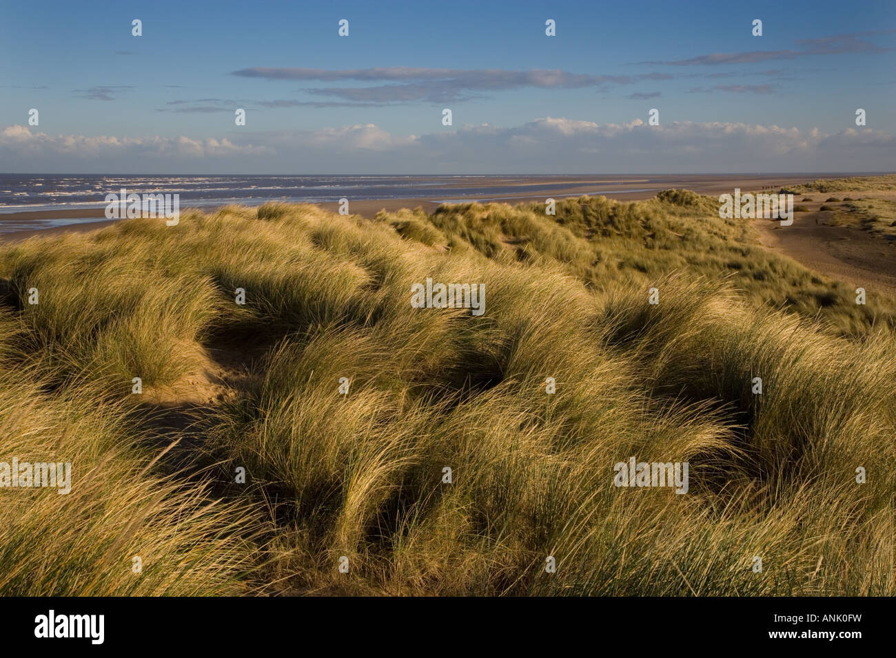Holkham Beach Dunes Norfolk December Stock Photo - Alamy