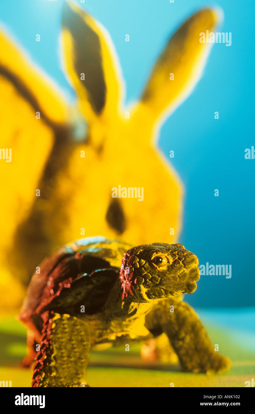 Hare and tortoise race hi-res stock photography and images - Alamy