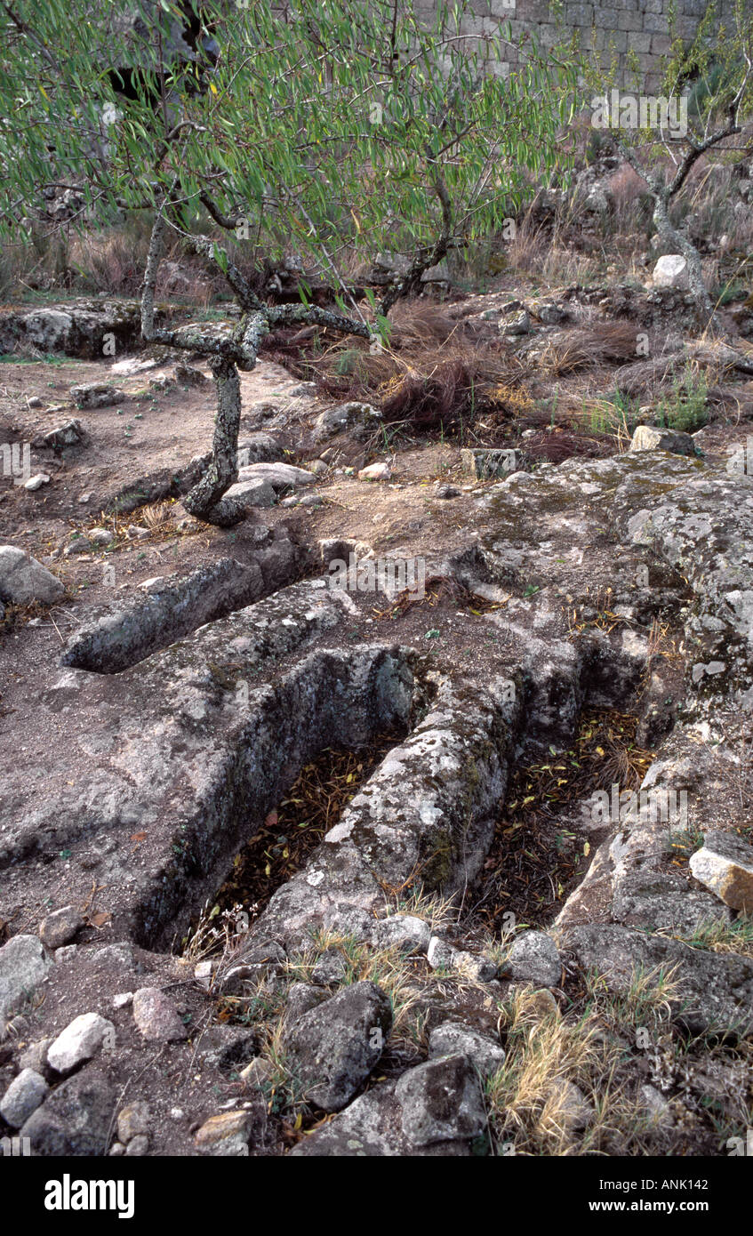 Grave coffin dug hi-res stock photography and images - Alamy
