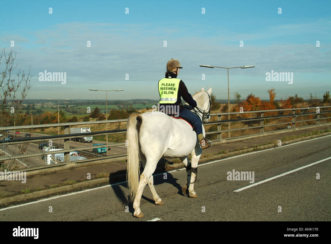 Horse road crossing hi-res stock photography and images - Alamy