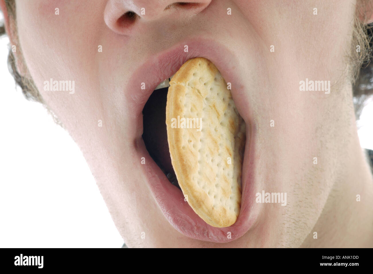 Biting off more than you can chew hi-res stock photography and images ...